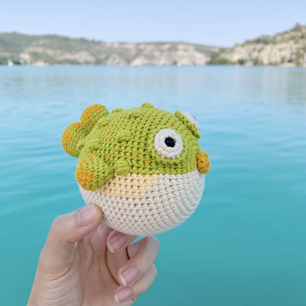 Fluffy the puffer fish - Khuc Cay